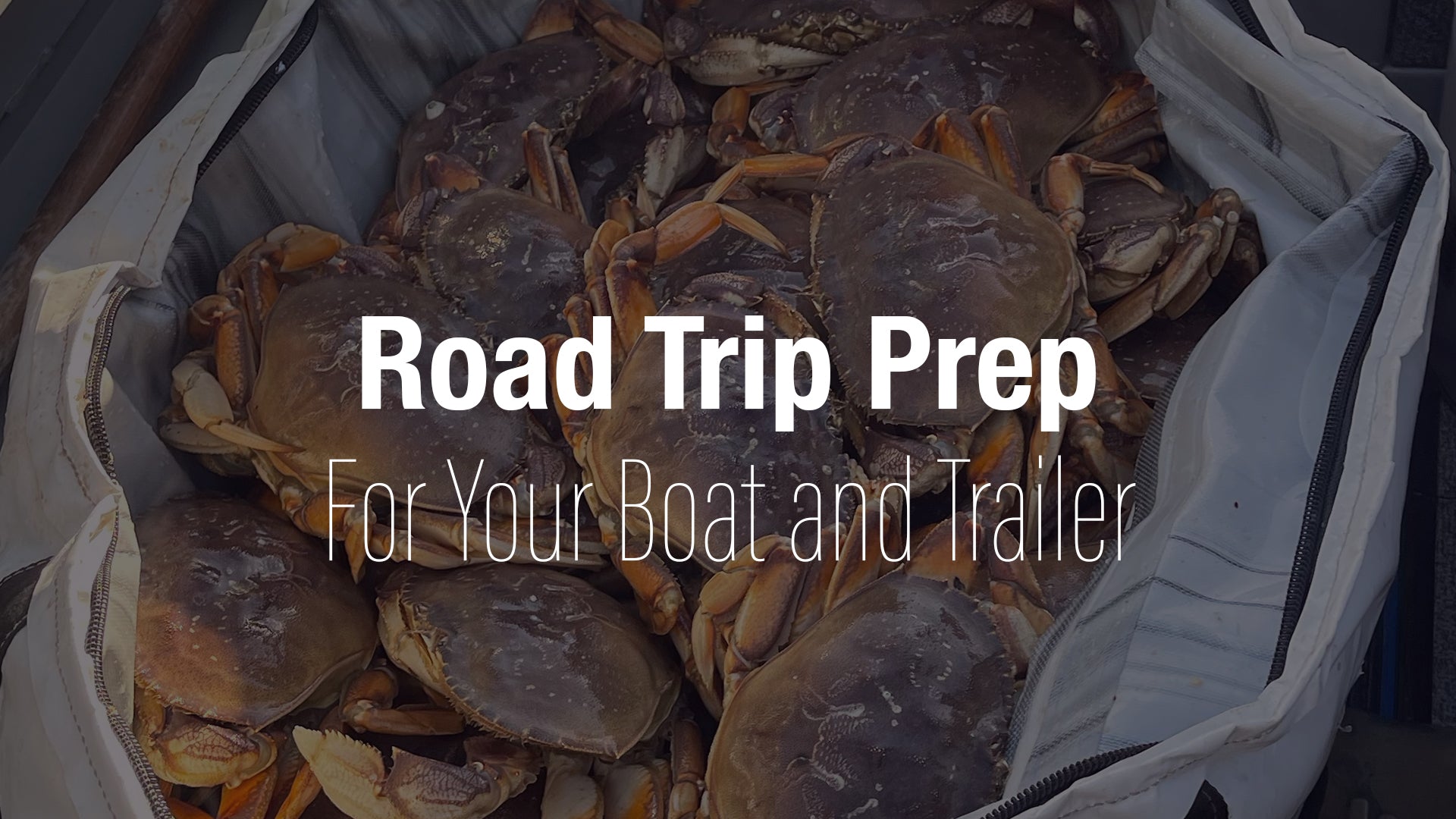 Catching Dungeness Crab in the Pacific Ocean: A Guide for Beginners an ...