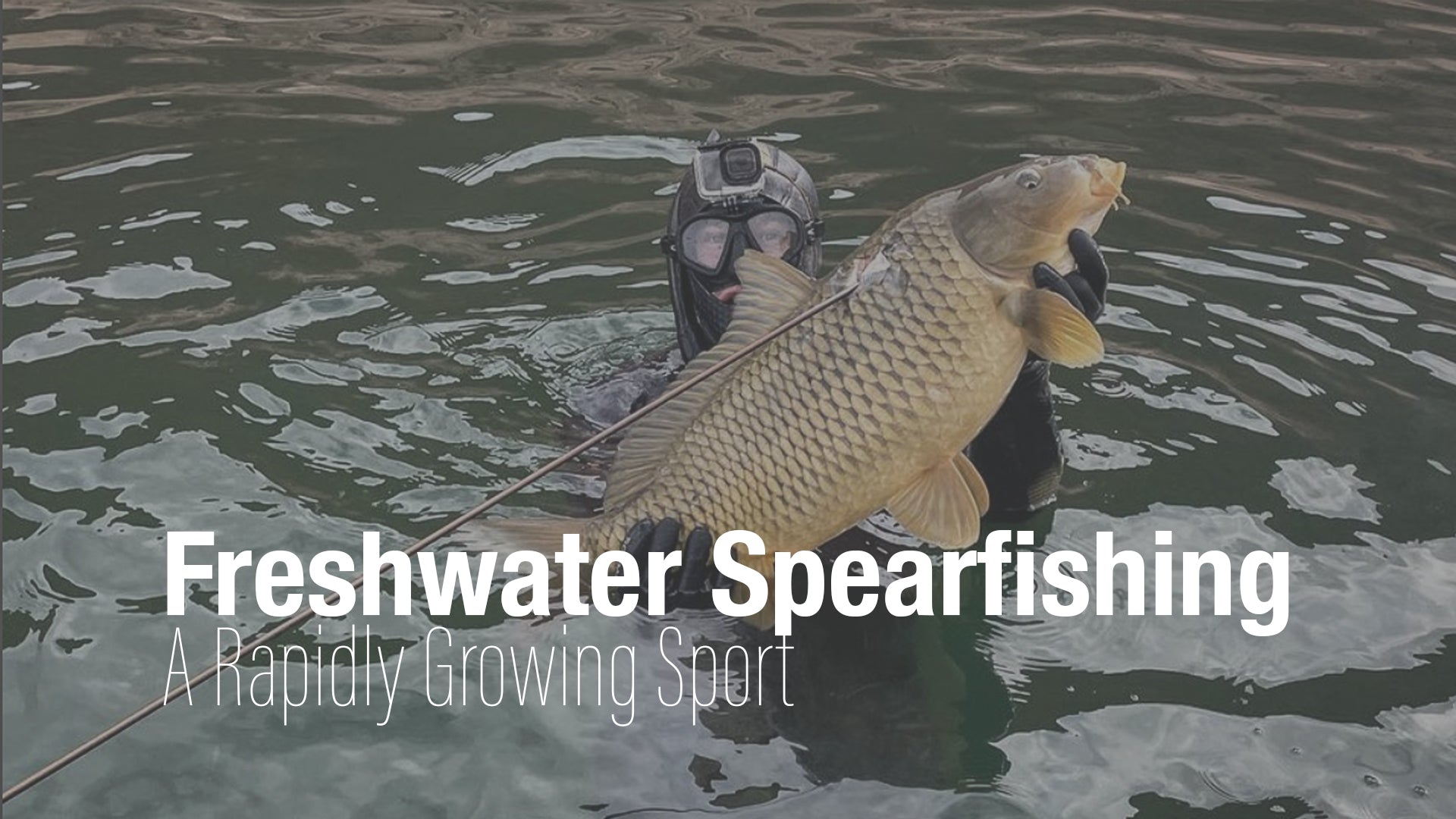 Freshwater Spearfishing: A Growing Trend in the Angling World – Opah ...