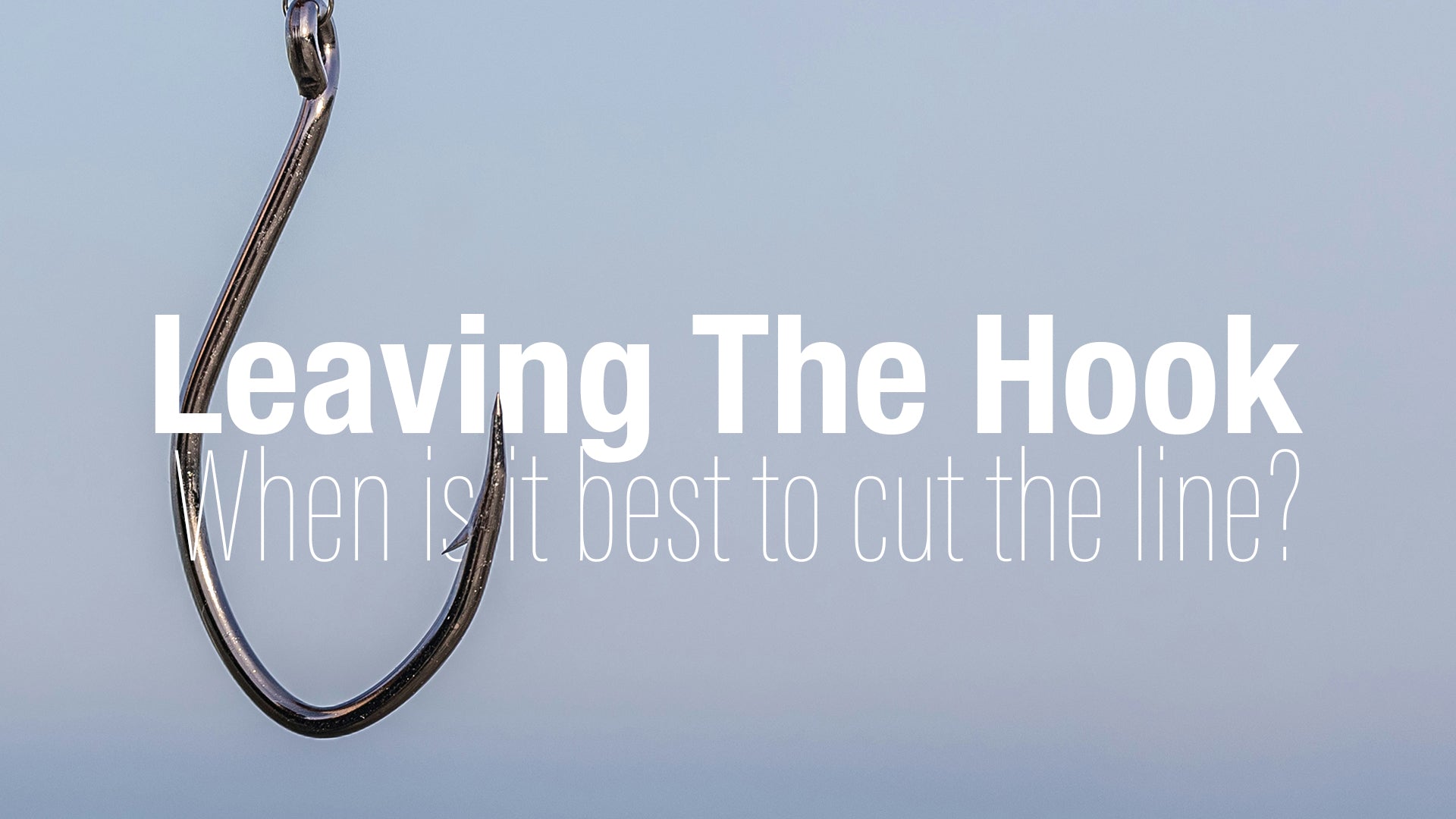 Leaving Hooks in Fish: When It’s Better to Leave Well Enough Alone ...