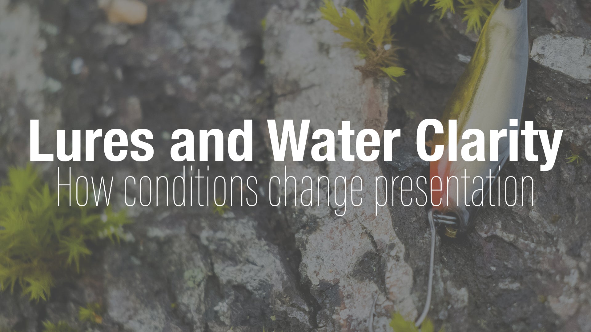 The Science of Lure Colors: Adapting to Water Depth and Clarity – Opah ...